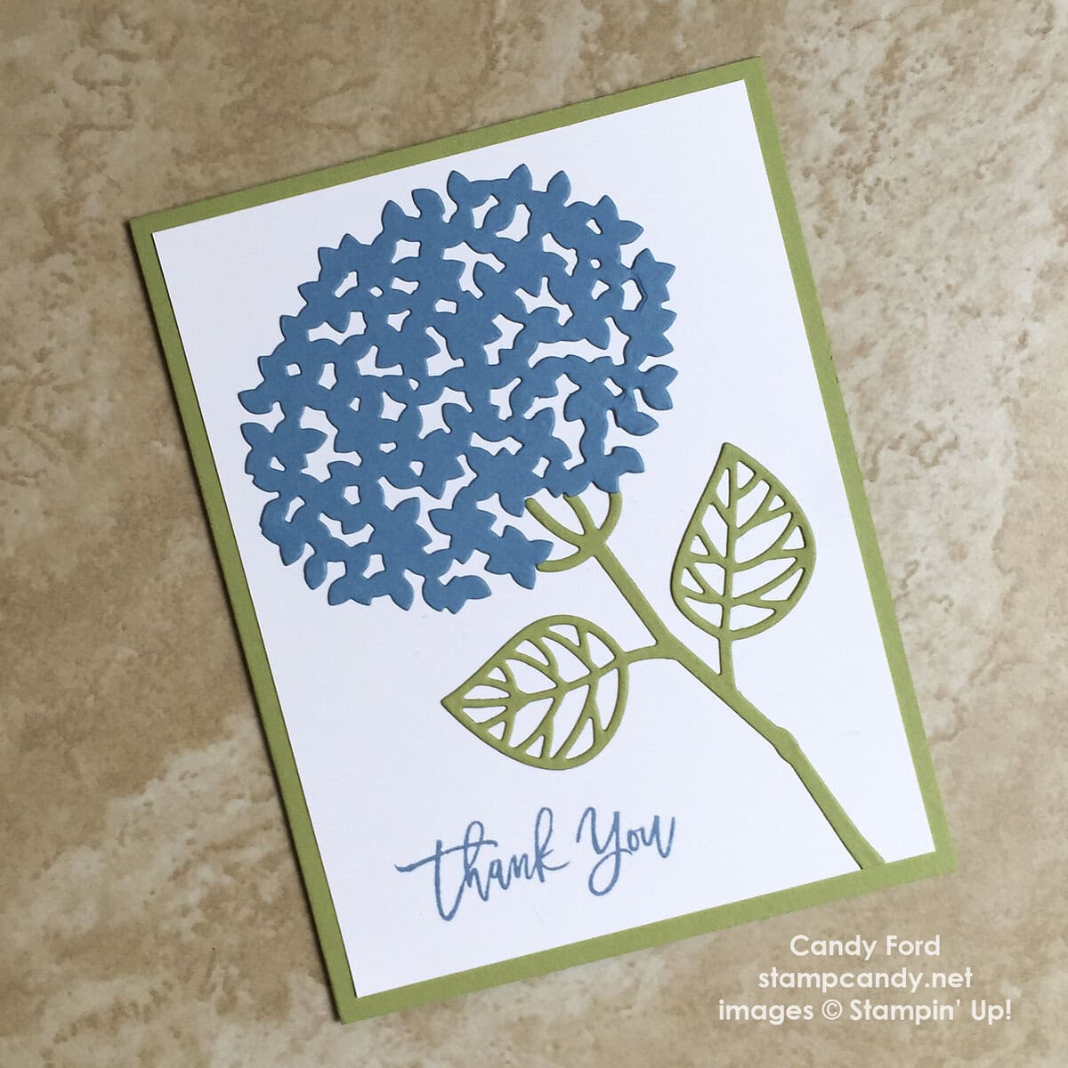 Thoughtful Hydrangea - Stamp Candy