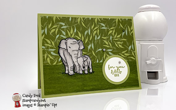 New Wildly Happy Card for June 2019 IRBH - Stamp Candy