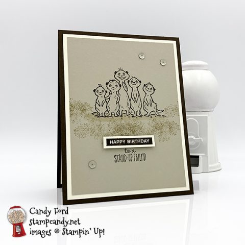 Friday Fast & Easy Birthday Card with The Gang's All Meer and Label Me ...